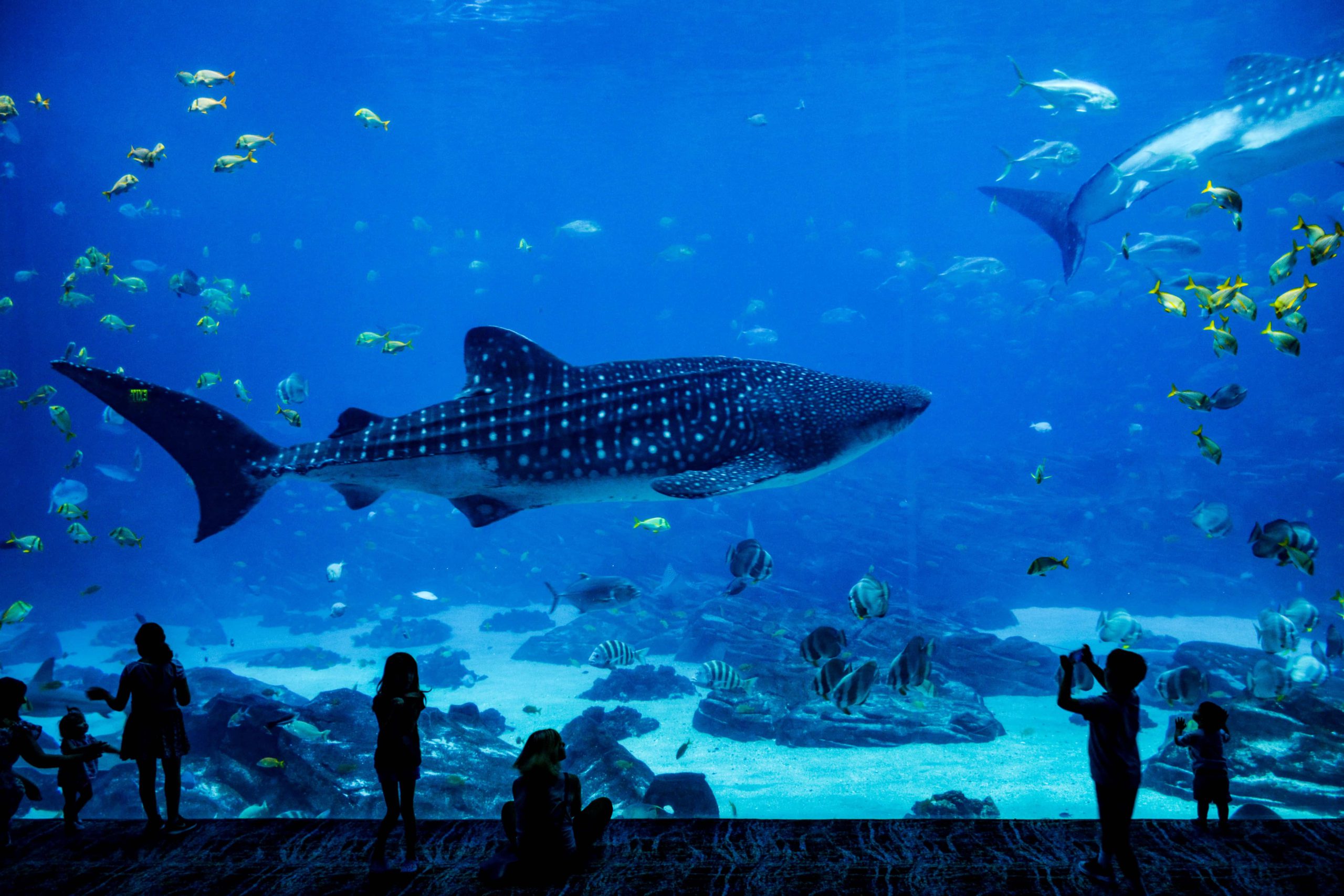 Everything You Need to Know About Parque Explora | Casacol